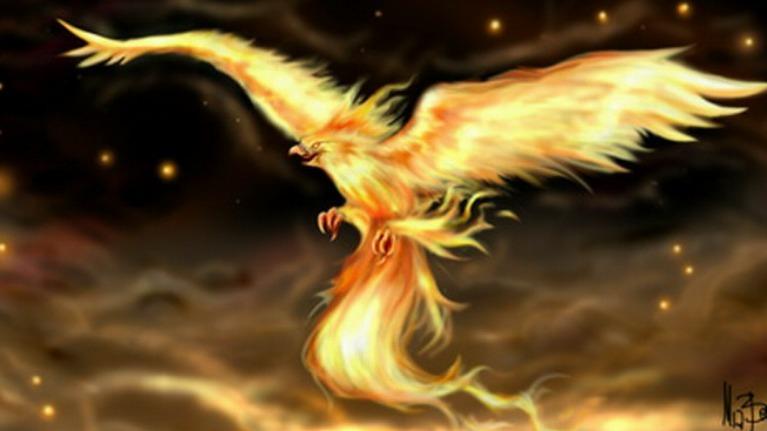 Bạn có tính cách giống loài phượng hoàng nào! 👤Mybebong Ha