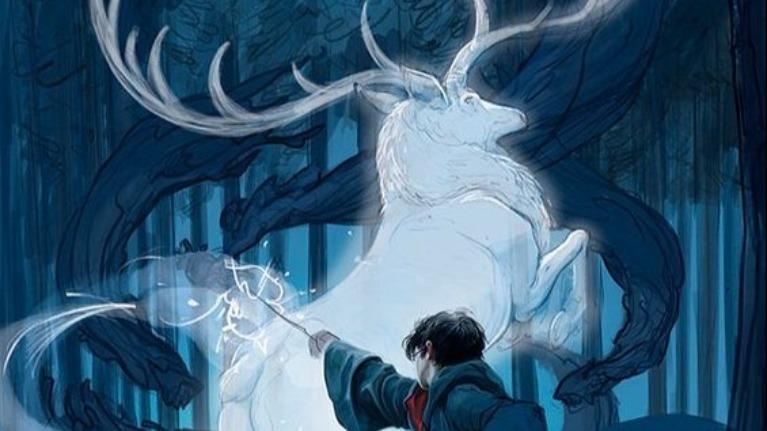 Bách khoa thần chú trong trong Harry Potter - bạn biết đến đâu?? 👤Rose ...