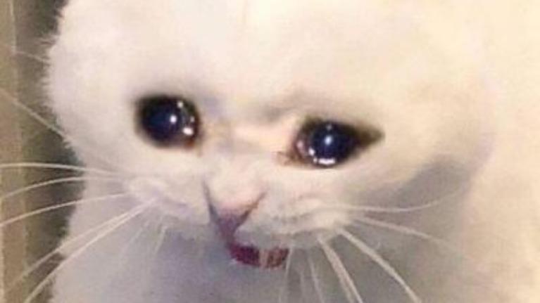 BẠN CAY CÚ THẾ NÀO? GYAAAAAAAAA!!!! 👤mai hue bui