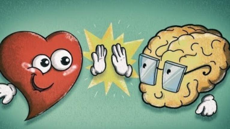 Bạn là người sống theo lý trí hay con tim? 👤Thảo Ngọc