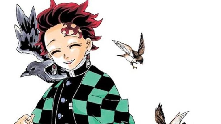 Bạn hiểu Demon Slayer như thế nào? 👤Như Ý Cẩm Tú