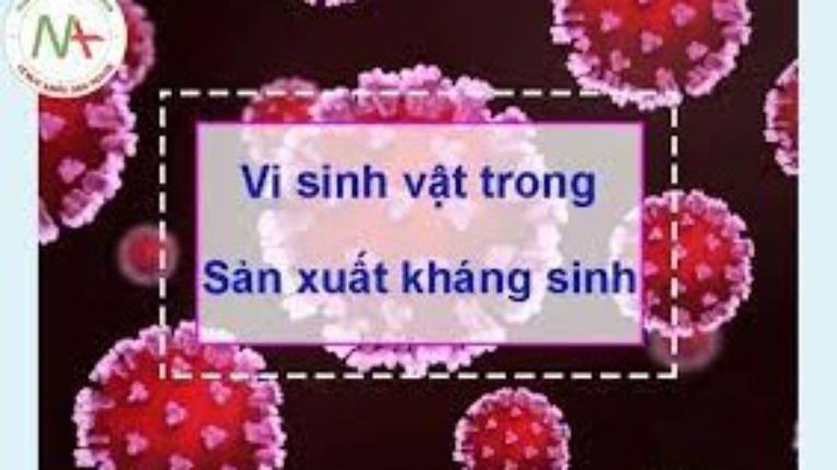 10-Bai 22: UD vi sinh vat 👤Phan Lan Nhi