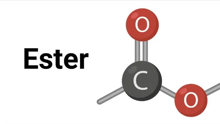 Bạn biết bao nhiêu mùi hương đặc trưng của Ester? 👤Nguyệt Hà