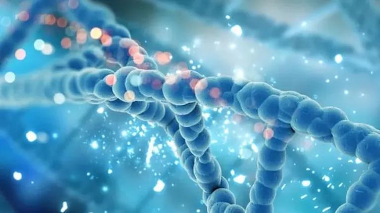 DNA và RNA 👤Trà Trịnh